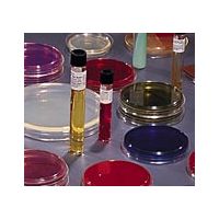 BD BBL Stacker I Plate Prepared Media, BD Diagnostics 221623 Chocolate ...