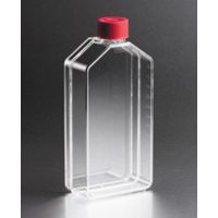 Corning Flask Vent Tc 162CM CS25 3151 . Corning Tissue culture flasks.