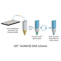 G-Biosciences Dna Gel Extraction 100 Prep 786-359 FREE S&H . G ...
