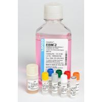 Lonza Endothelial Growth Medium, EGM-2 BulletKit, 500ml, CC-3162 FREE S ...