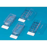 Nunc Slide Chamber 8WELL Rsgls PK16 154534 FREE S&H 154534-CS, 154534 ...