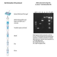 Omega Bio-Tek Gel Extraction Kit V Spin D2500-00 . Omega Bio-Tek ...
