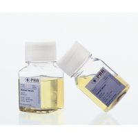 PAA Laboratories Human Serum Off Clot Ab 100ml C11-021 . PAA ...