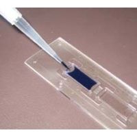 SKC Films Hemacytometers Disp 100UM PK50 DHCN015 FREE S&H . SKC Films ...